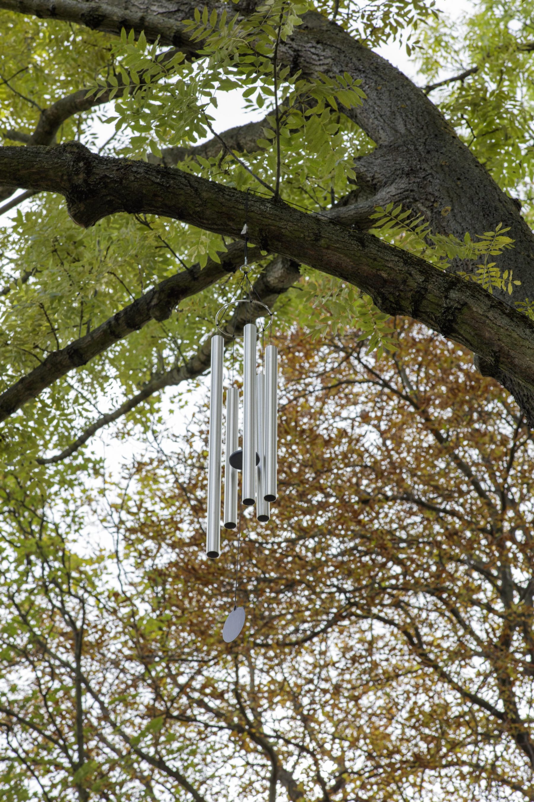 haubrok foundation | Something in the Air